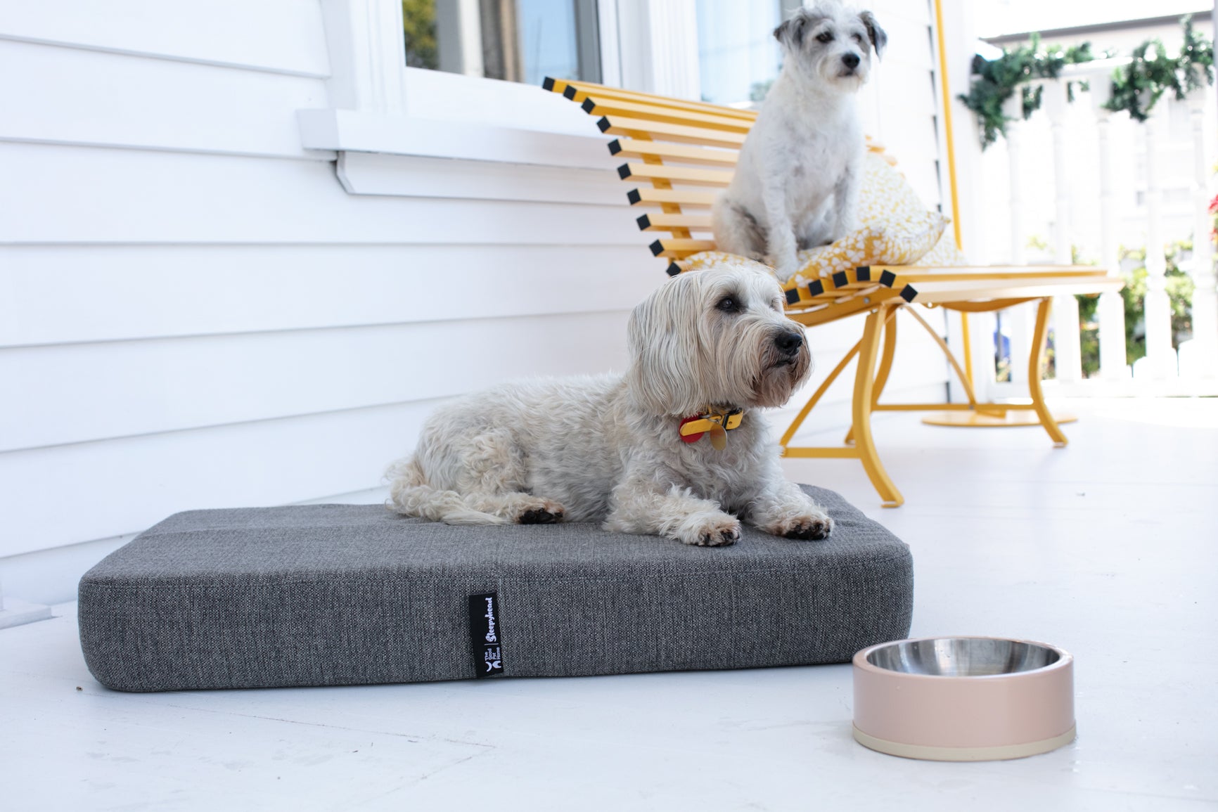 WIN a limited edition dog bed! – The Good Pet Home