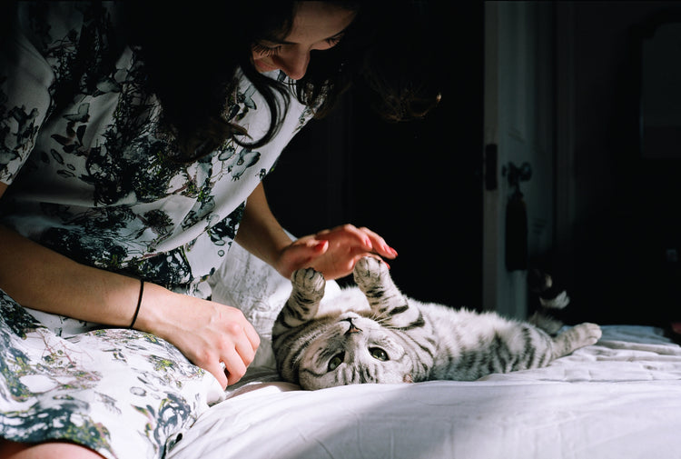 Design Influencer Elle Pugh – The Good Pet Home