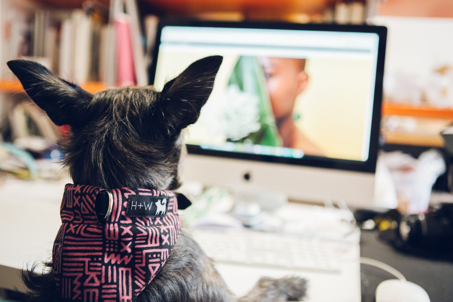 The Benefits Of Dogs In The Workplace – The Good Pet Home