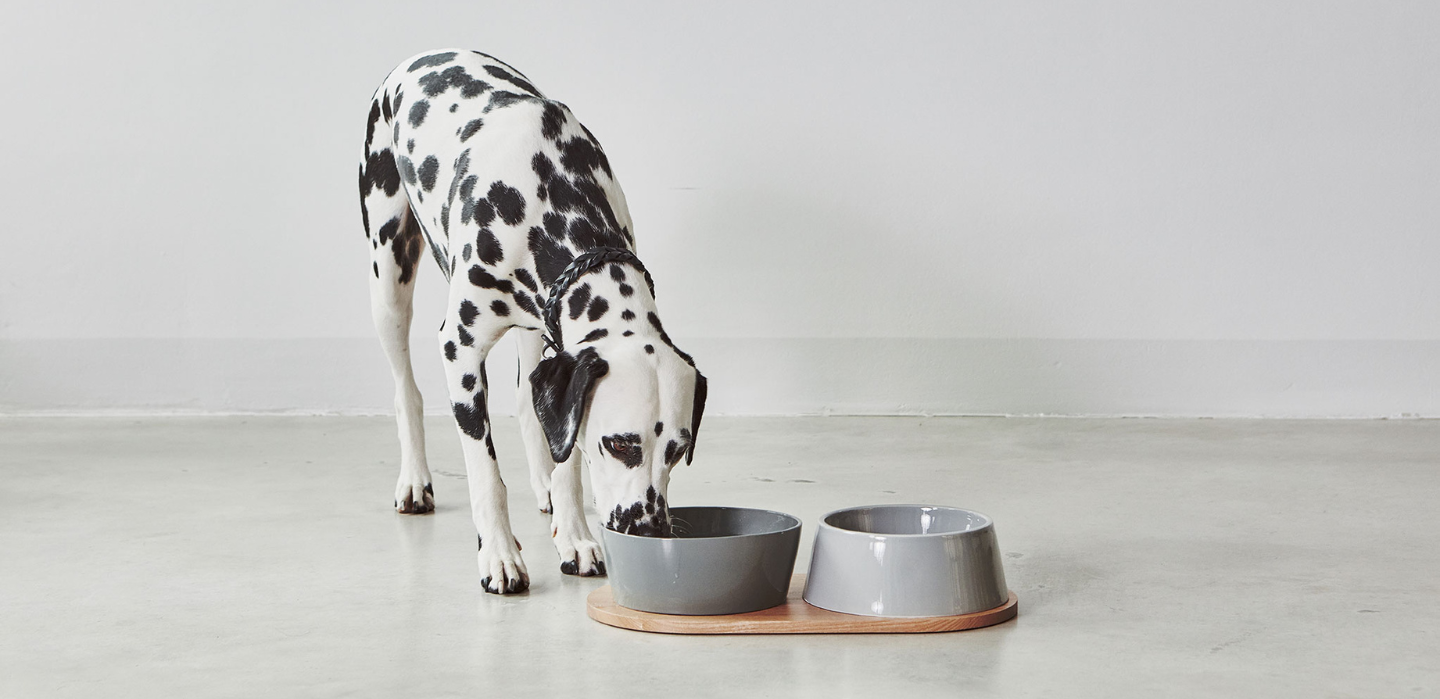 Best Sellers – The Good Pet Home