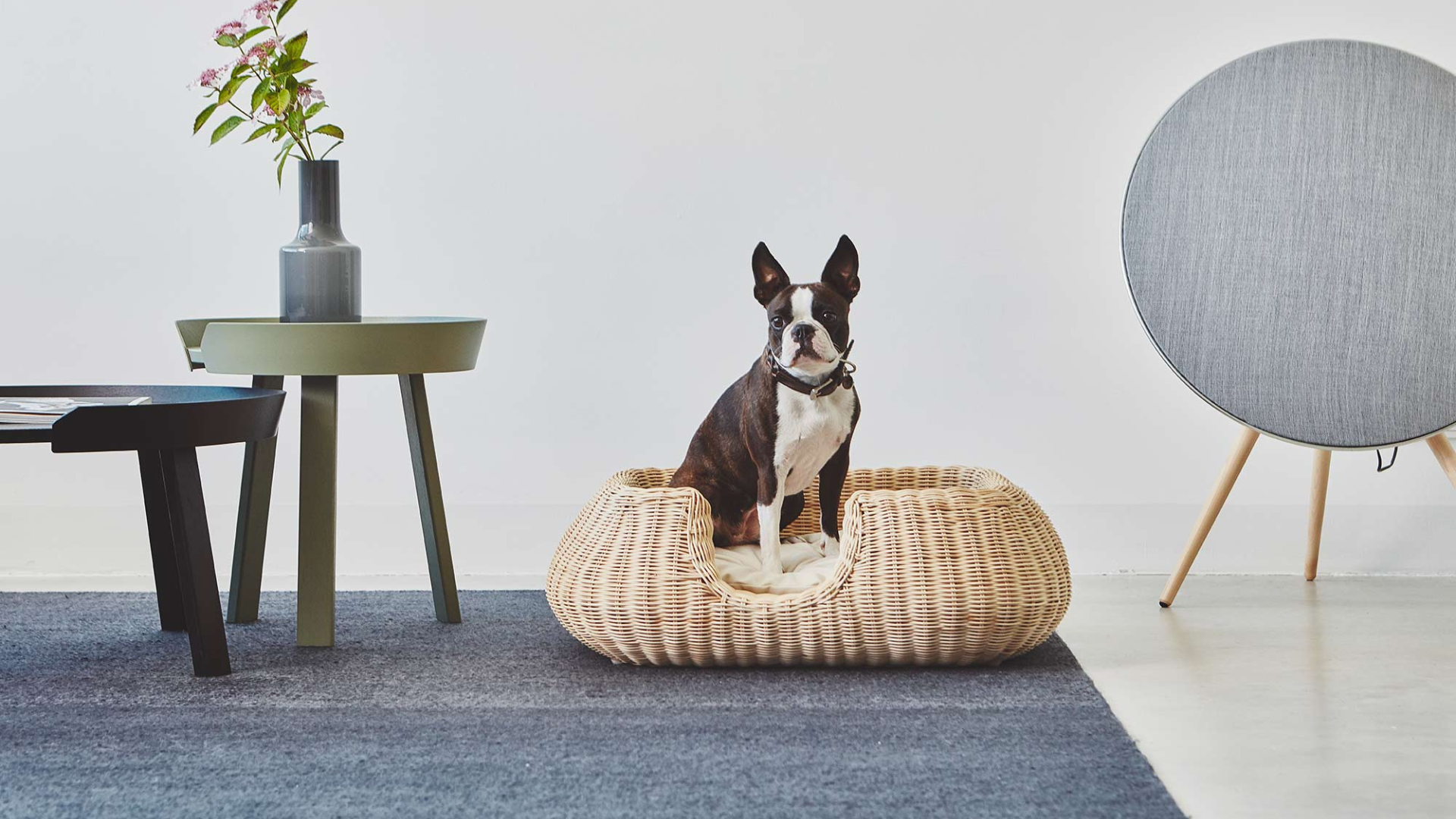 THE GOOD PET HOME | DESIGNER PET ACCESSORIES | NEW – The Good Pet Home